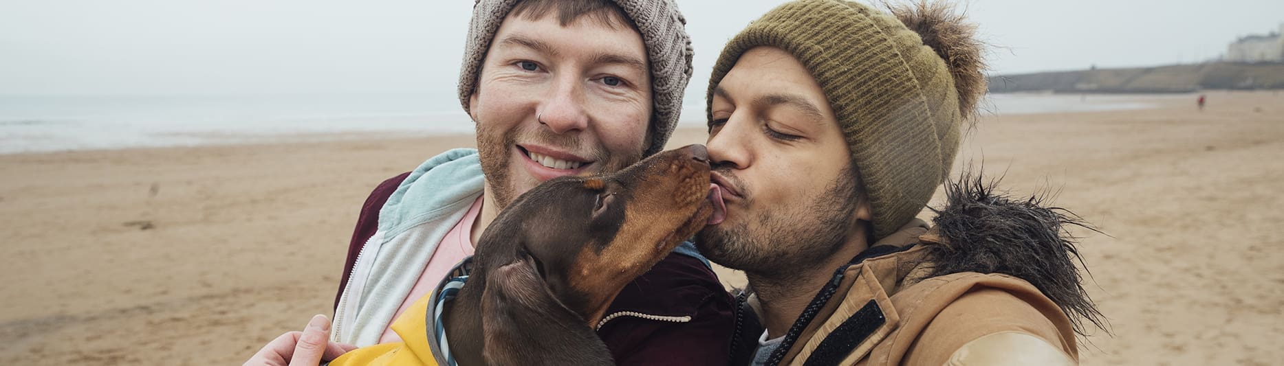 Destination Services update: Renting with pets in the UK - Santa Fe ...