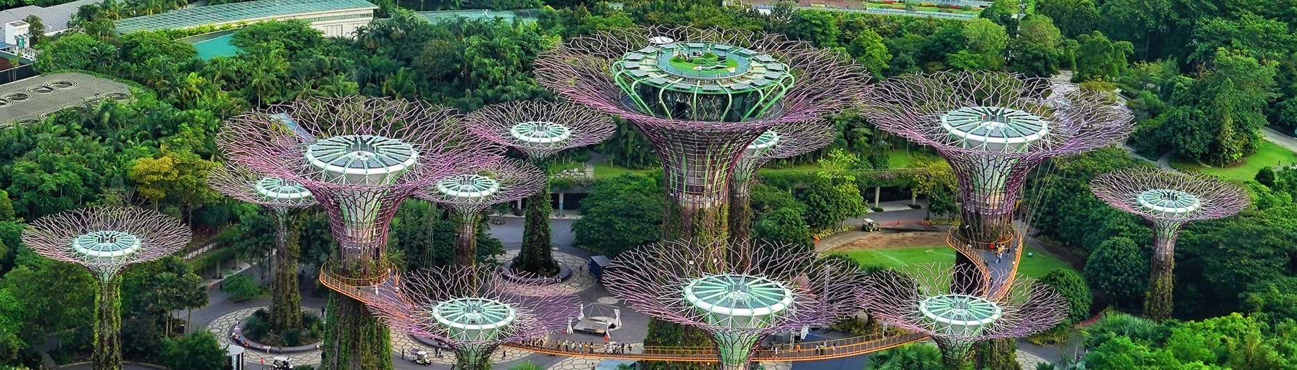 Immigration update — Singapore: Complementarity Assessment Framework ...